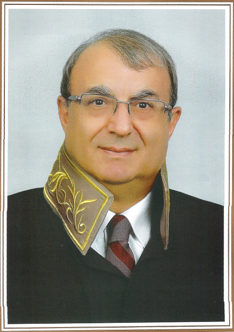 Danıştay Resmi Sitesi