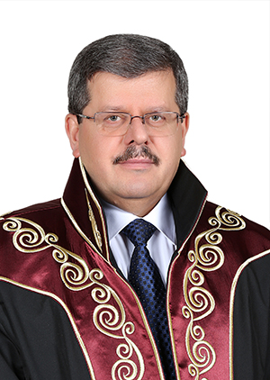 Danıştay Resmi Sitesi